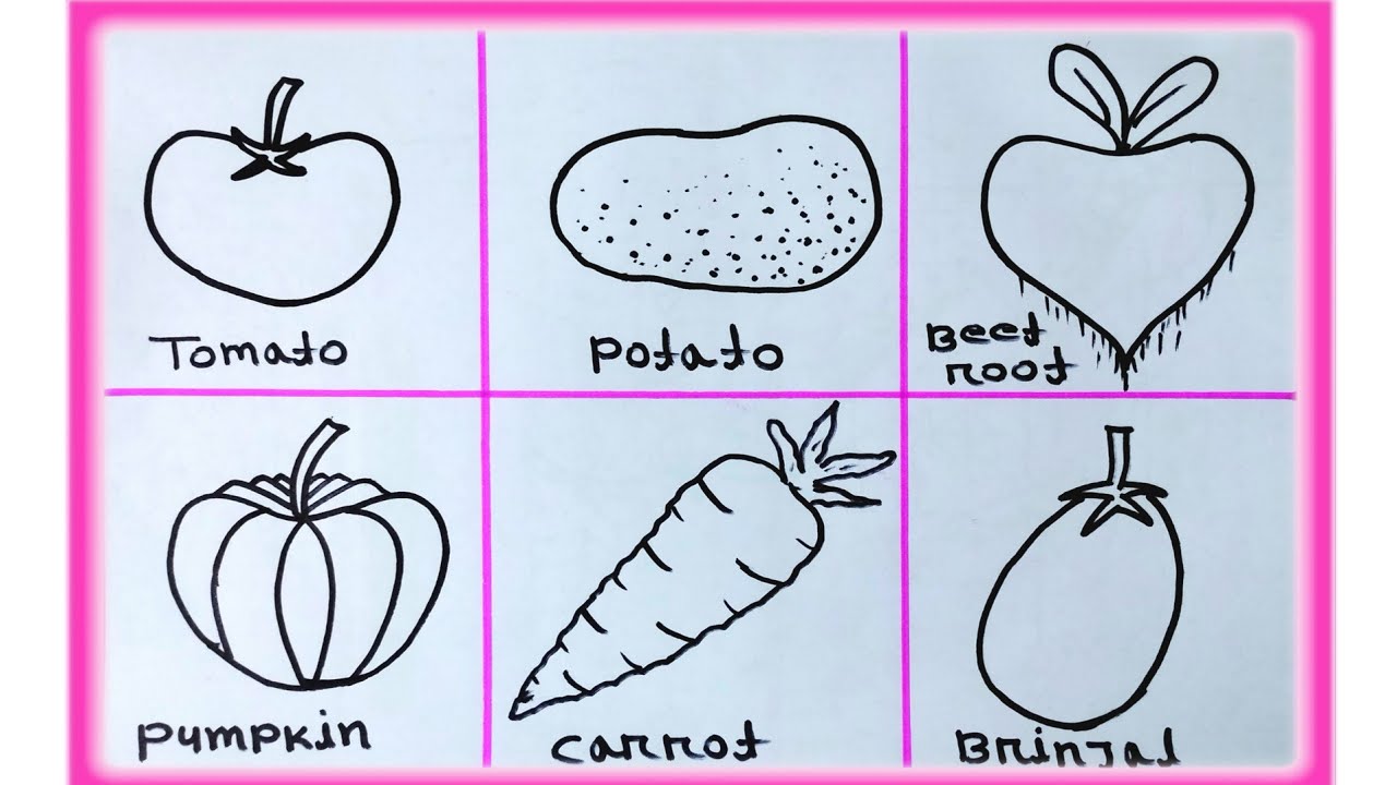 6 Different Types of Vegetables Drawing Easy || How to Draw Different ...