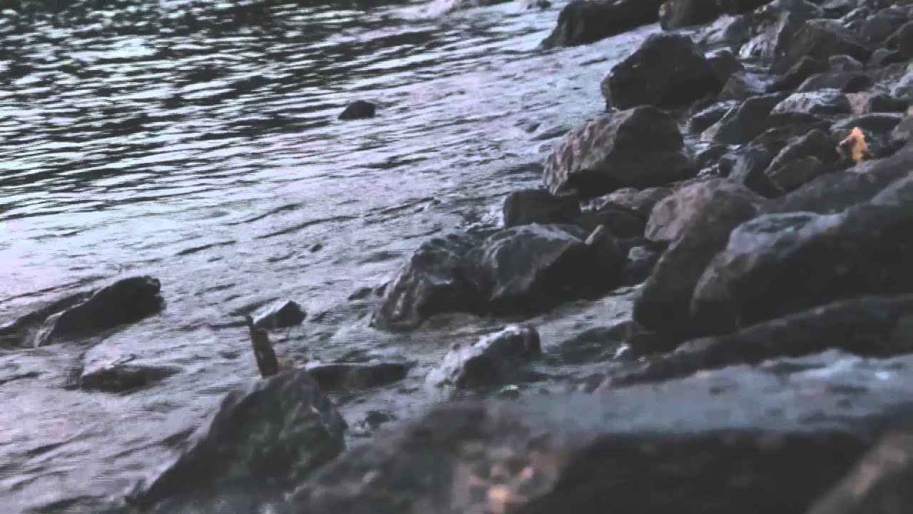 Hayden Copeland - My Story - YouTube