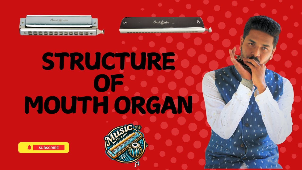 Structure of Mouth Organ | Understand Your Mouth Organ | Easy Tutorial ...