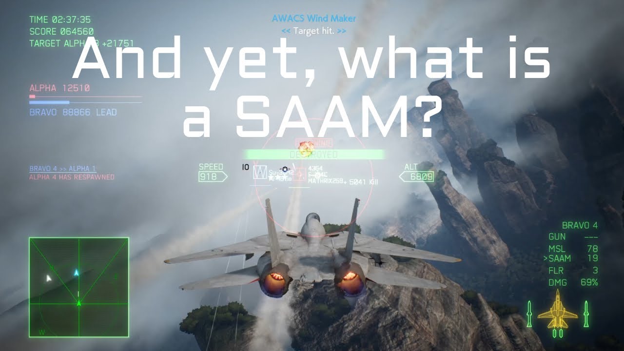 SAAM? What's a SAAM? | Ace Combat 7 Multiplayer ft. F-14A w/ SAAM - YouTube