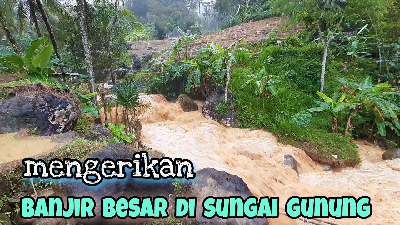 banjir bandang di sungai pegunungan,arusnya deras dan membahayakan - YouTube