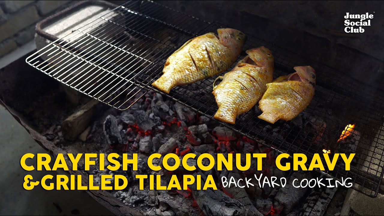 Cooking Simple But Delicious CRAYFISH Coconut Gravy With Tumeric ...