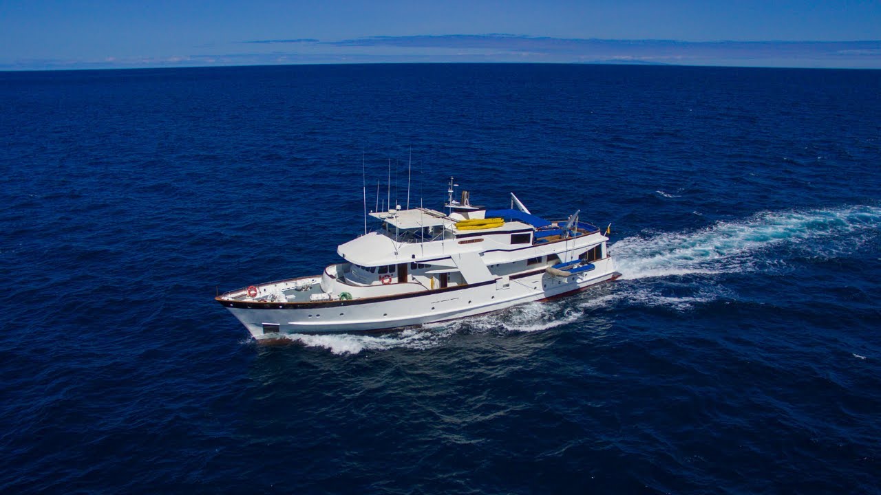 Cruise the Galapagos Islands in Style on the Beluga Motor Yacht - YouTube