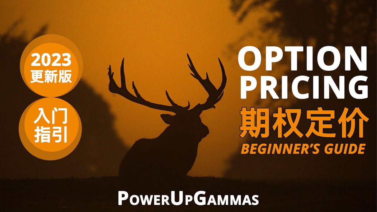 Option Pricing Guide for Beginners (2023年更新版) - 期权定价新手指引 - YouTube