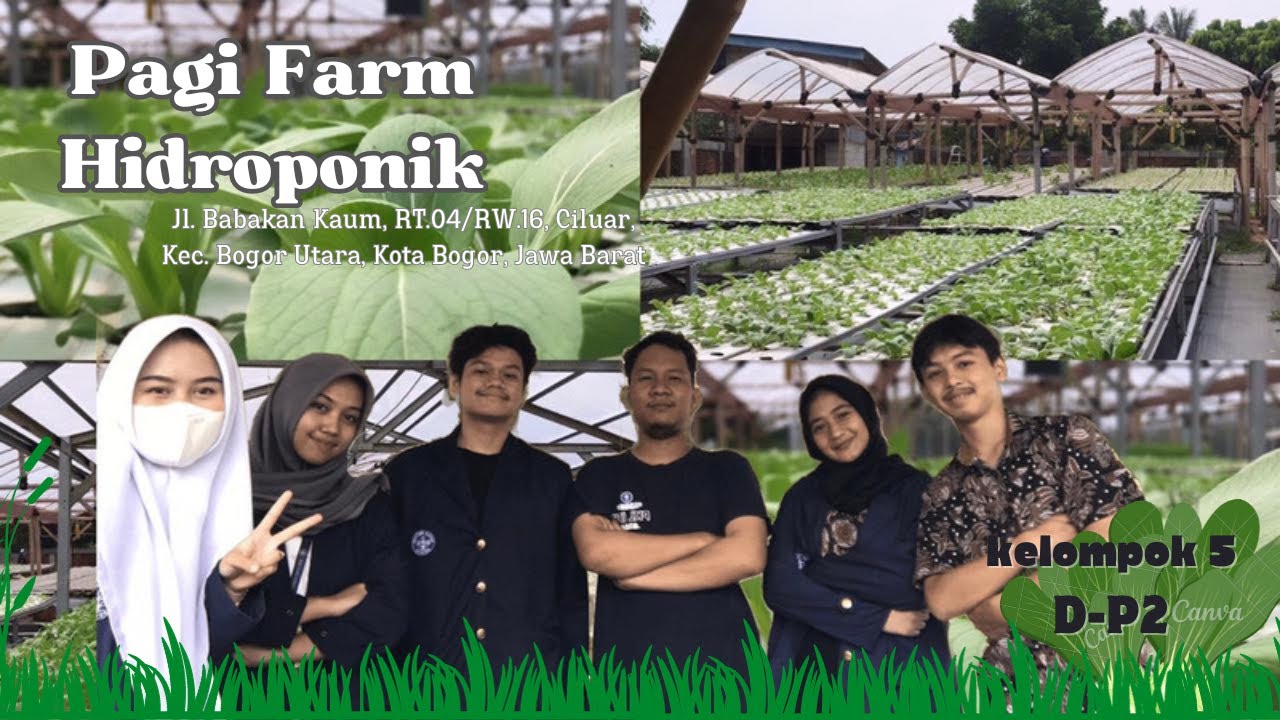 Project Based Learning Proses Produksi Hidroponik Pagi Farm🌱 - YouTube