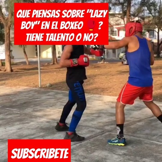 "LAZY BOY" TAMBIEN PUEDE BOXEAR?#boxing #mma #mmafighter #ufc #lazyboy ...