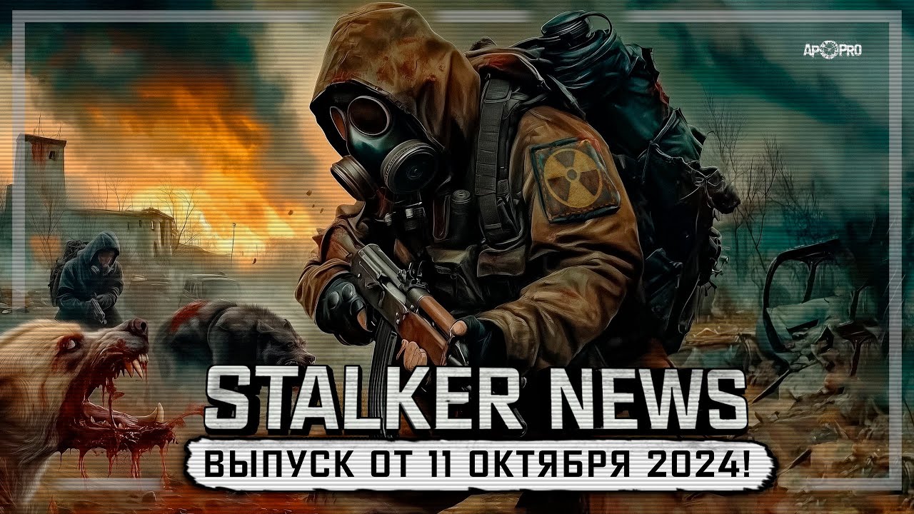 STALKER NEWS (Выпуск от 11 октября, 2024) - YouTube