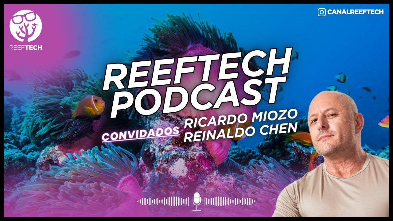 REEFTECH PODCAST - RICARDO MIOZZO E REINANDO CHEN - YouTube
