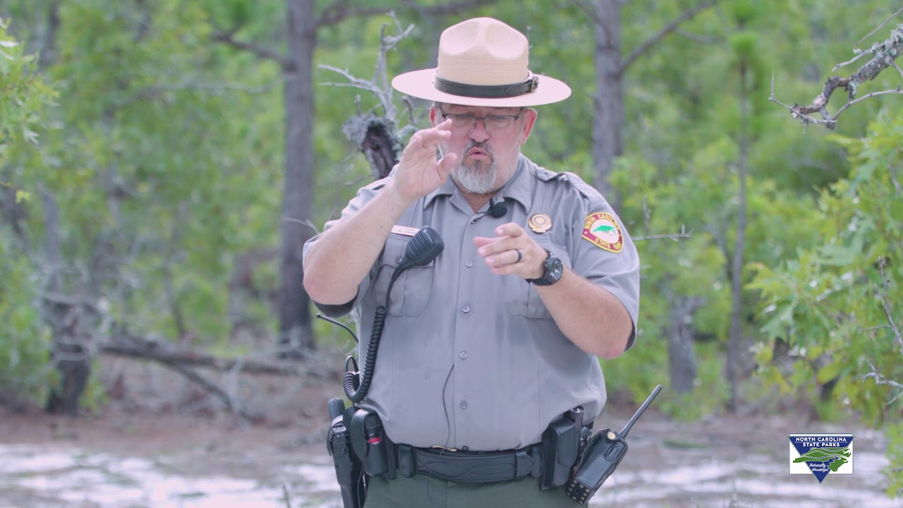 Xeric Sandhills | Park Ranger Ecosystem Spotlight - YouTube