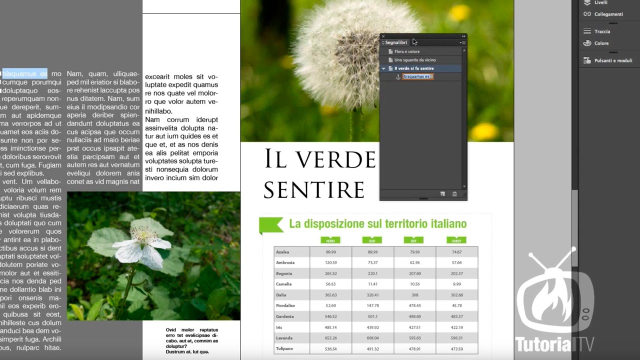 InDesign - 3 modi per navigare all'interno di un lungo documento - YouTube