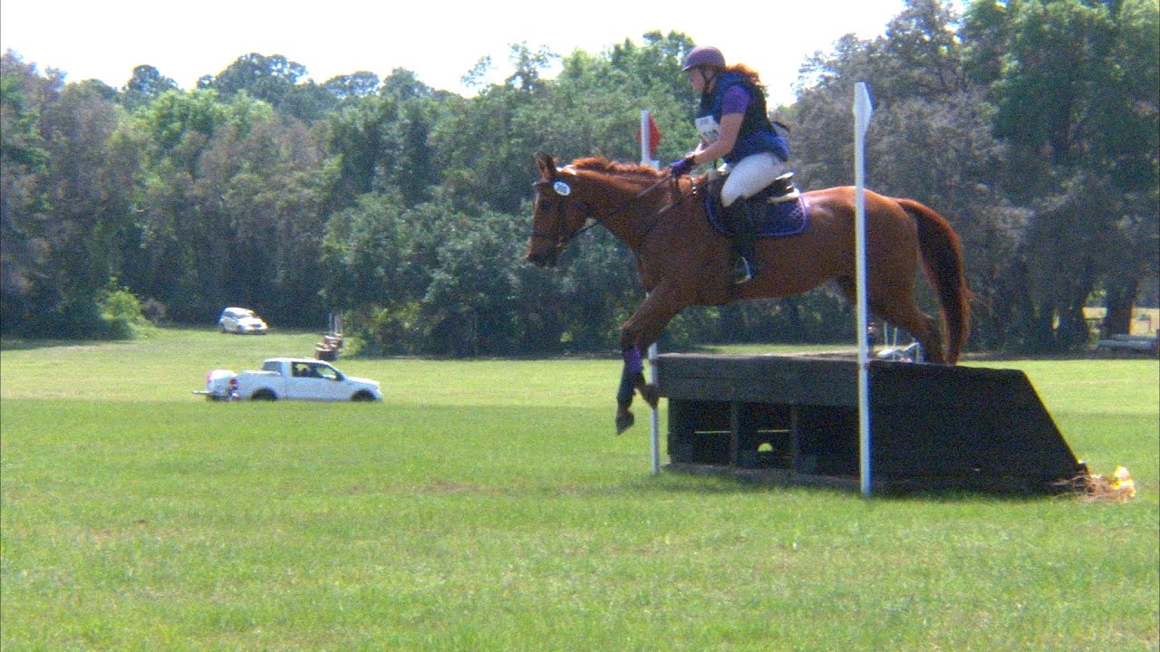 Kat Abrams "Zipp N' Zip Bars" Rocking Horse Stables Horse Trials XC/JNR ...