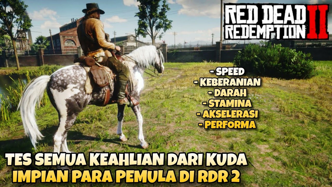 Review Kuda MFT, Kuda Impian Para Player Pemula - Rdr 2 - YouTube