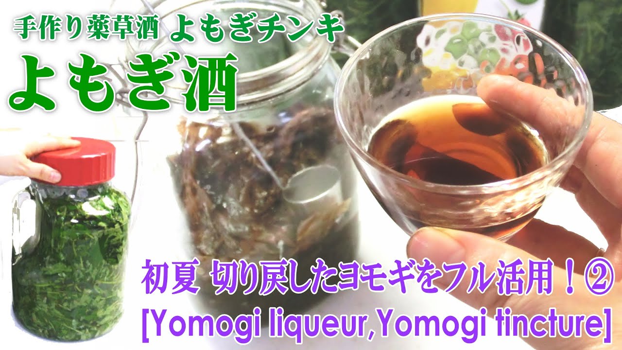 ヨモギ酒・ヨモギチンキ 自家栽培のヨモギを切り戻しフル活用！(2) 自家製 けっこう美味しい♪ - YouTube