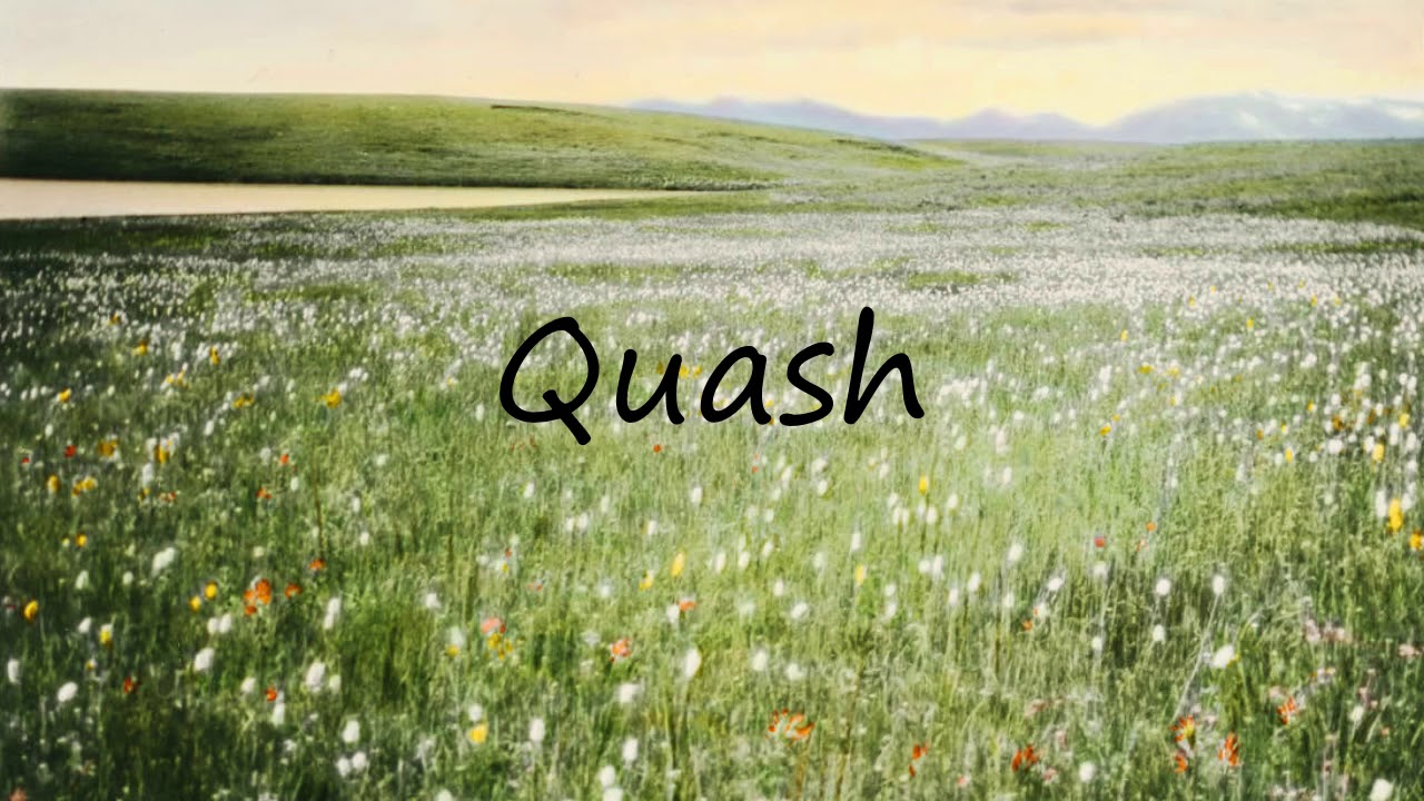 How to Pronounce Quash? - YouTube