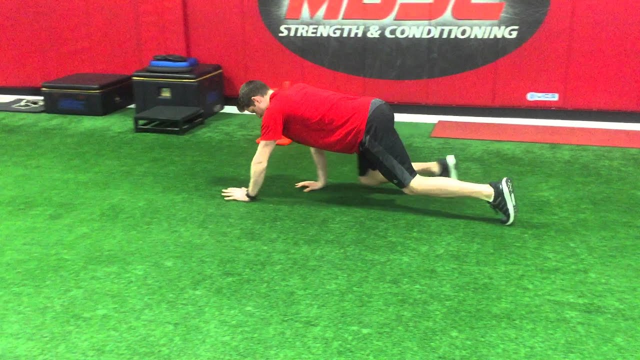 Bear Crawl Forwards & Backwards - YouTube