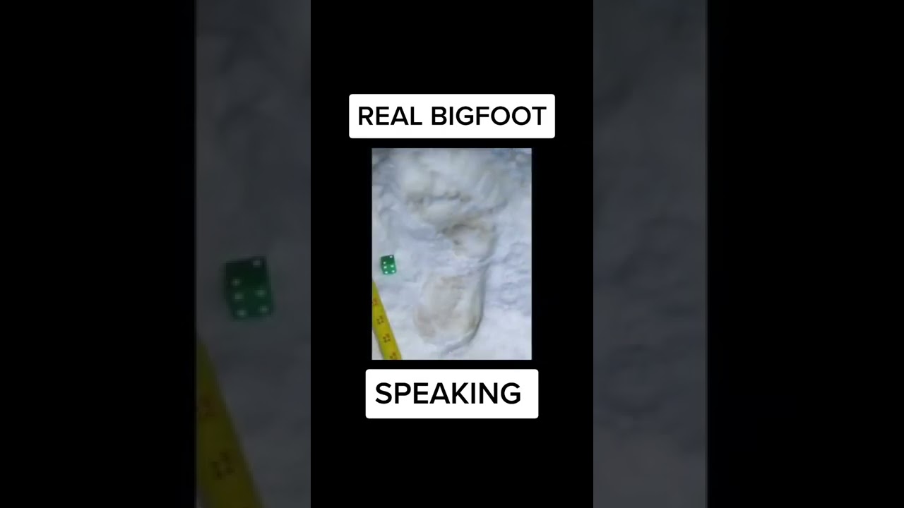 Sasquatch Sounds! These sounds are amazing!! - YouTube