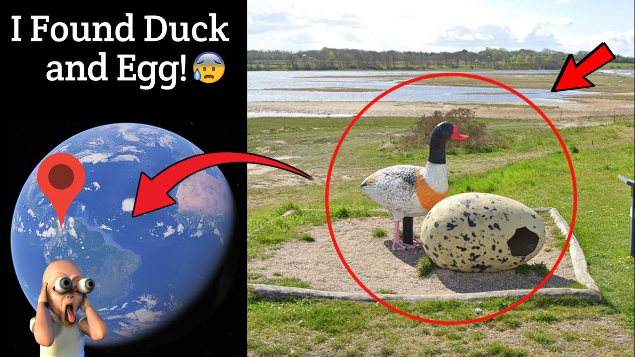 🤯 I Found a Very Huge Duck and Her Egg in Real Life On Google Earth and ...