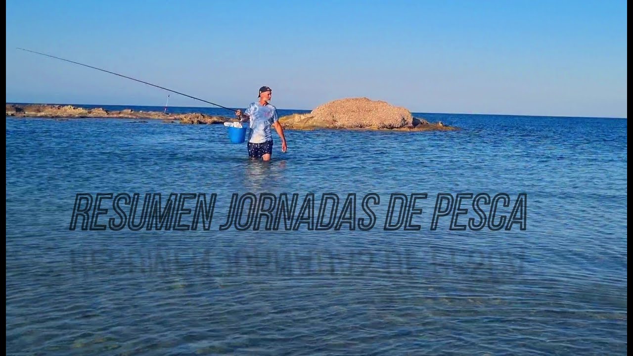 RESUMEN JORNADAS DE PESCA😎 - YouTube