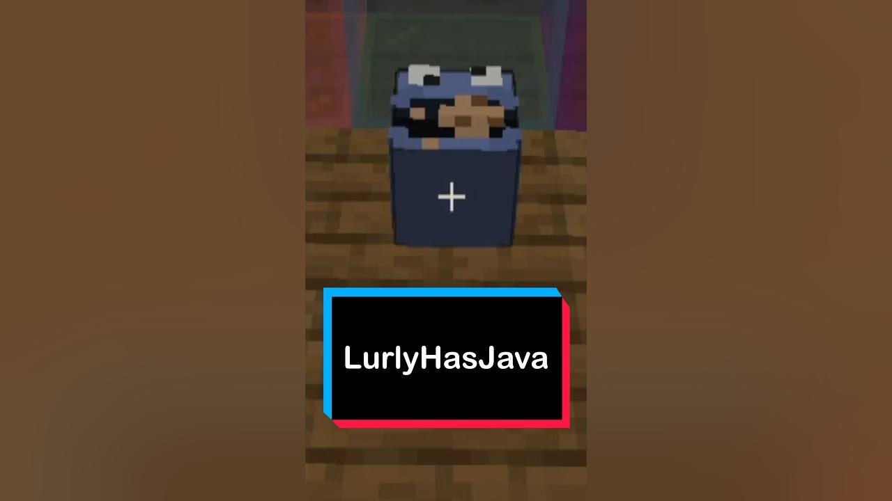 LurlyHasJava | Comment your name (Java only)! | #playerhead - YouTube