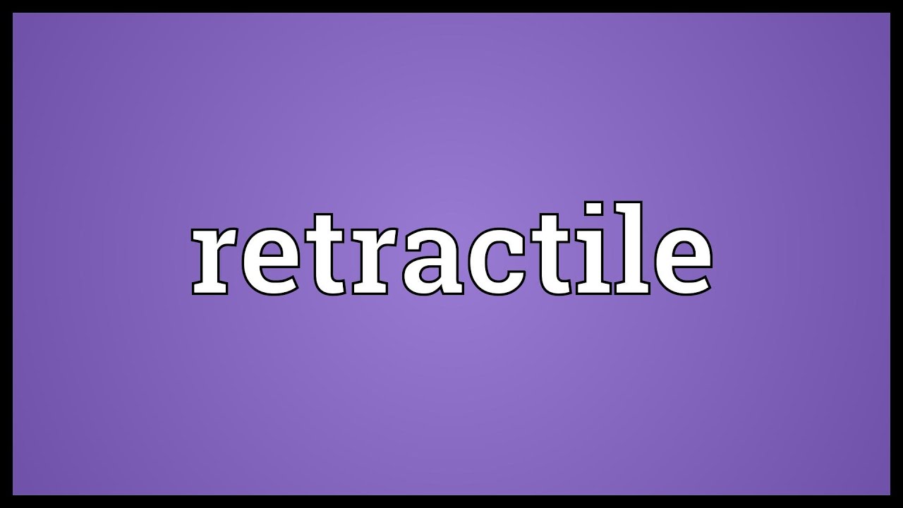 Retractile Meaning - YouTube