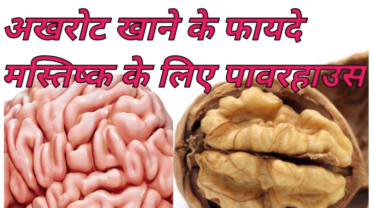 Health benefits of Akhrot!!Akhrot khane ka sahi tarika!! Benefits of ...