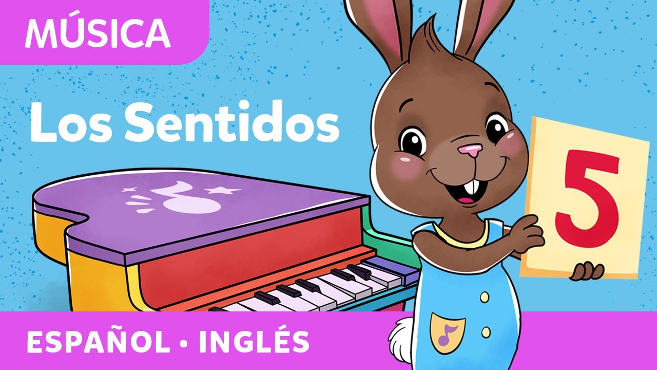 Canticos | Hay 5 sentidos que usas cada día | Kids Songs - YouTube