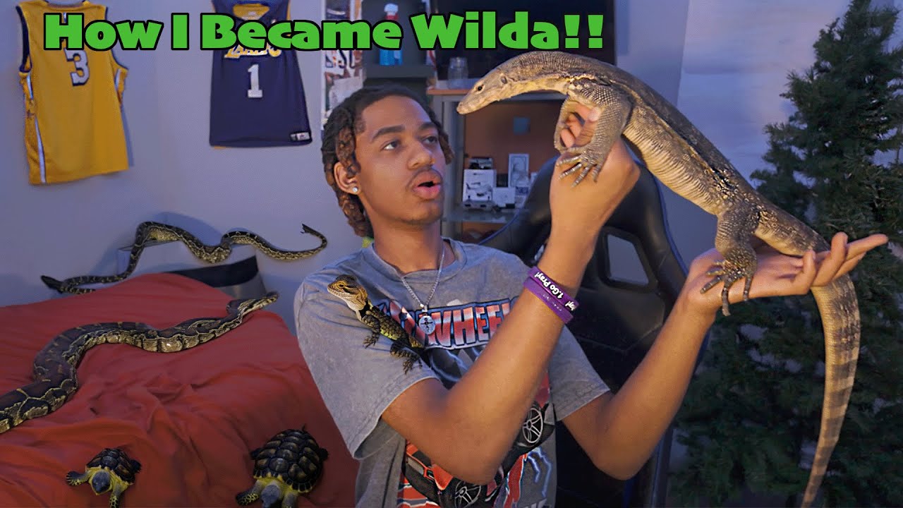 HOW I BECAME WILDA FULL STORY!! - YouTube