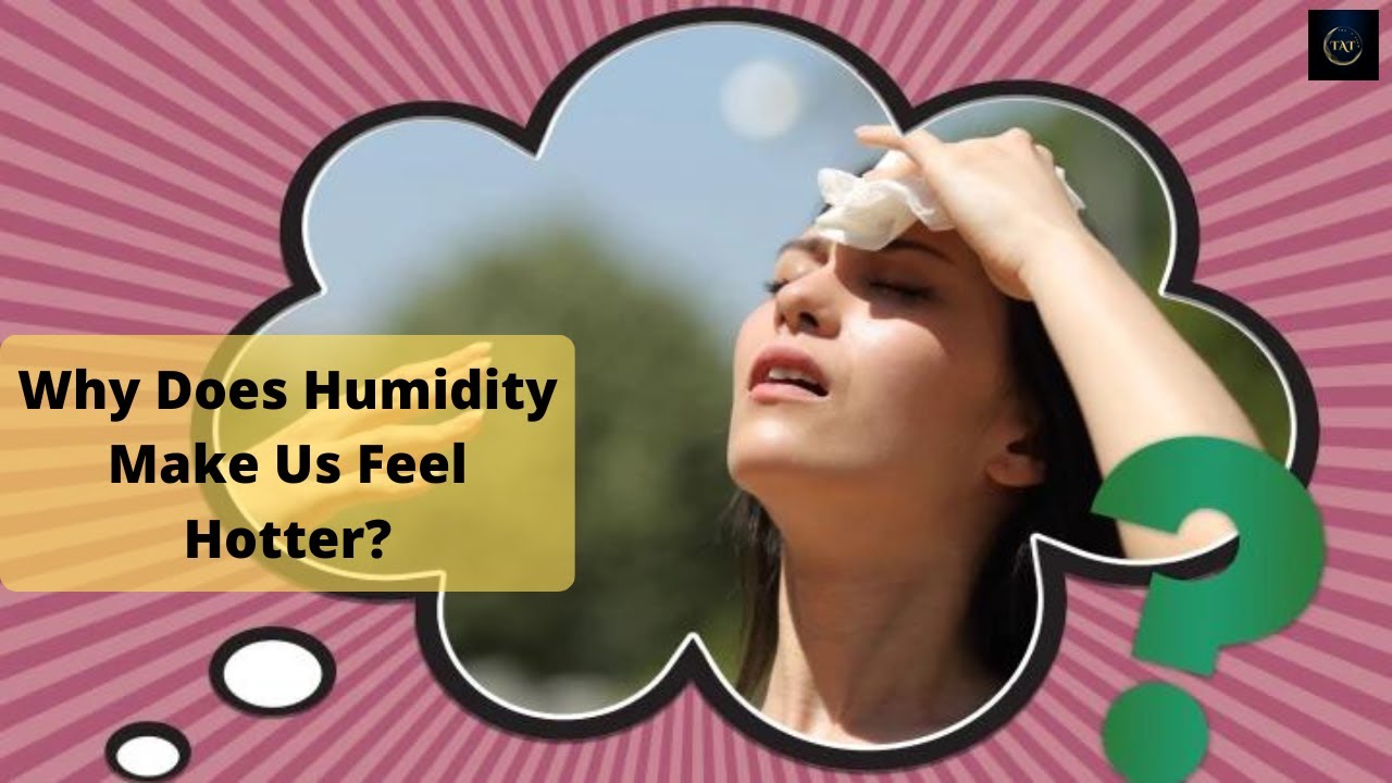 Why Does Humidity Make Us Feel Hotter? || THE A TEAM || - YouTube