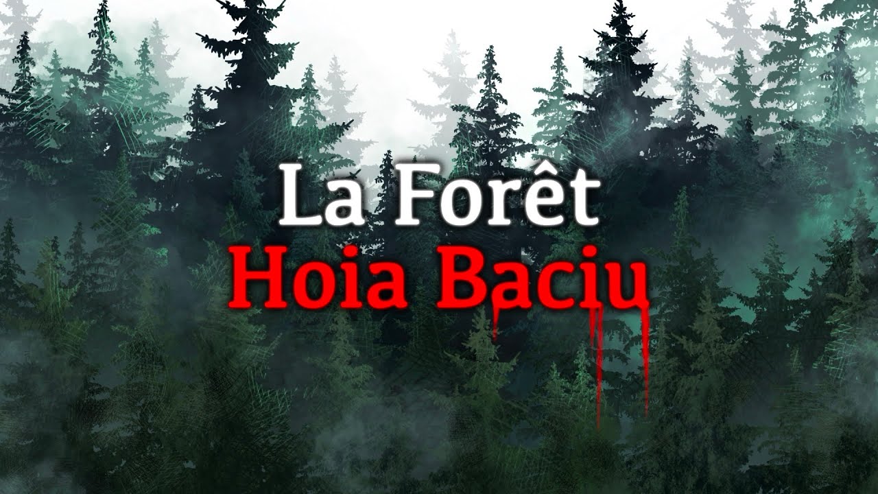 La FORÊT la plus HANTÉE du MONDE | Hoia Baciu | Grin raconte moi une ...