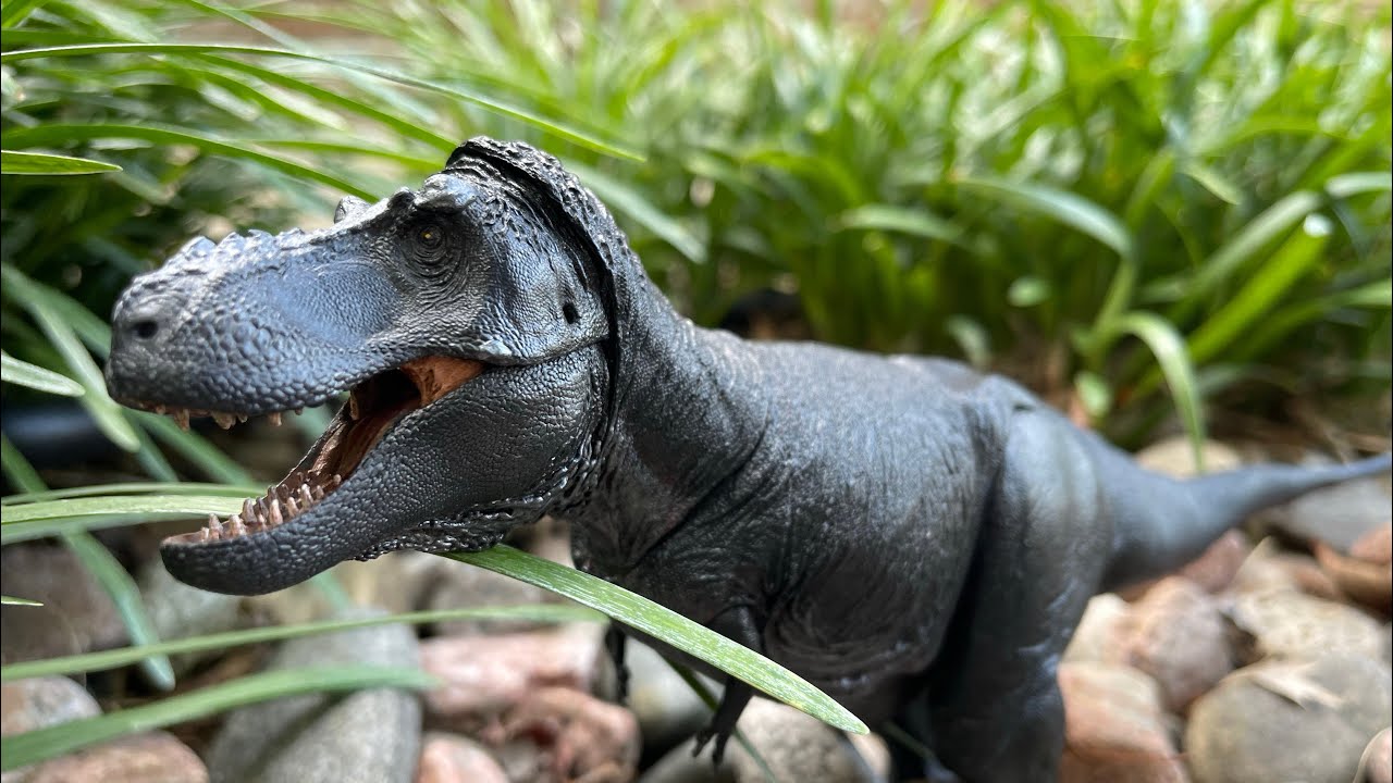 Custom Painted Tyrannosaurus Rex 🦖 BOTM This Video Has No Sound… - YouTube