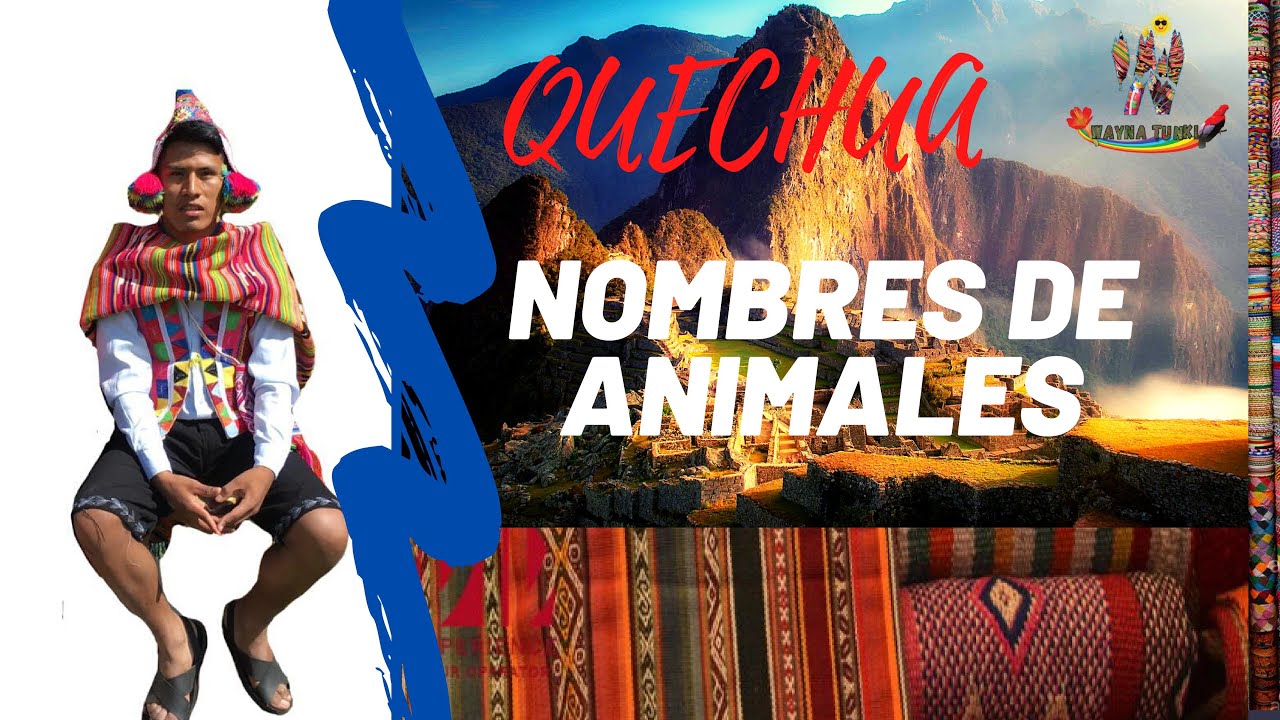 NOMBRES DE ANIMALES EN QUECHUA/Aprende Quechua con Wayna Tunki - YouTube