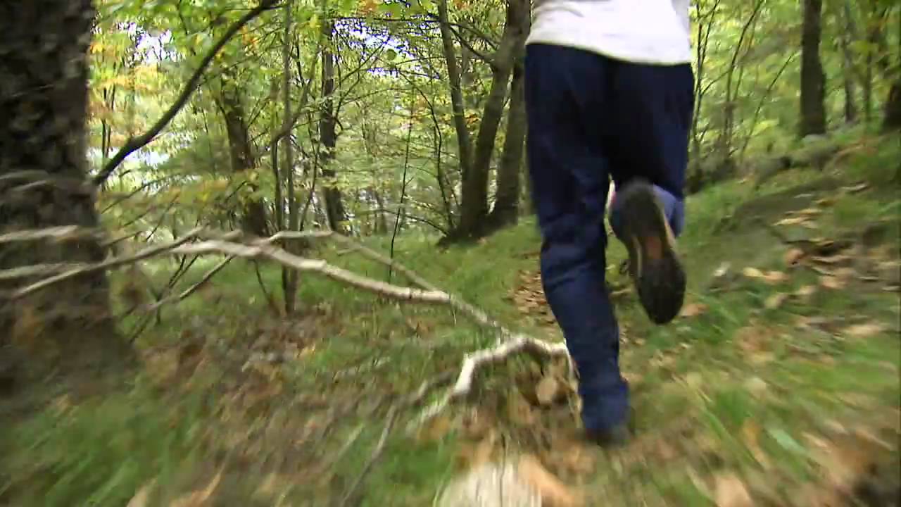 Orientierungslauf, Course d'orientation, Corsa d'orientamento ...