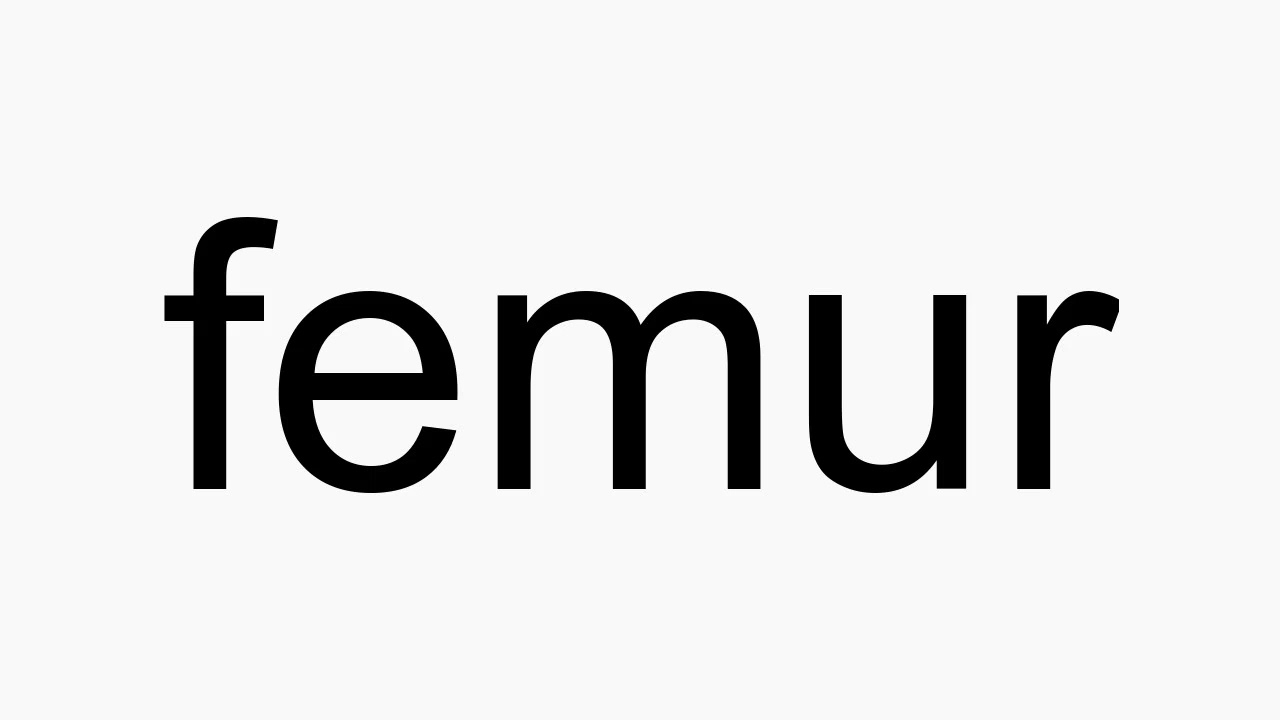 How To Pronounce Femur YouTube How To Pronounce Femur YouTube