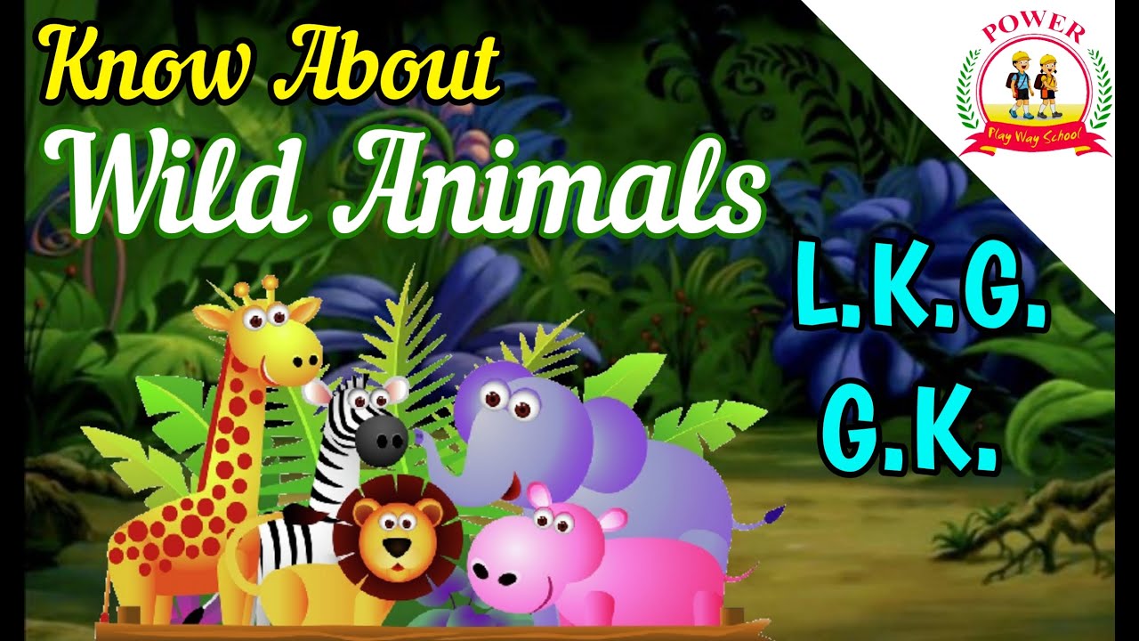 Know about wild animals || Gk class LKG || lecture 6 || School classes ...