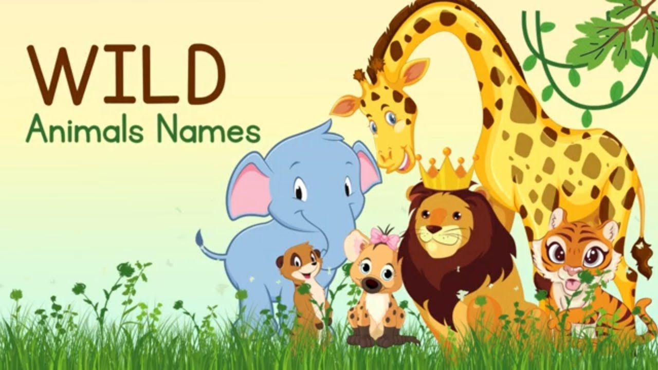 Wild Animals Flashcards - Animals Name and Pronunciation - Video For ...