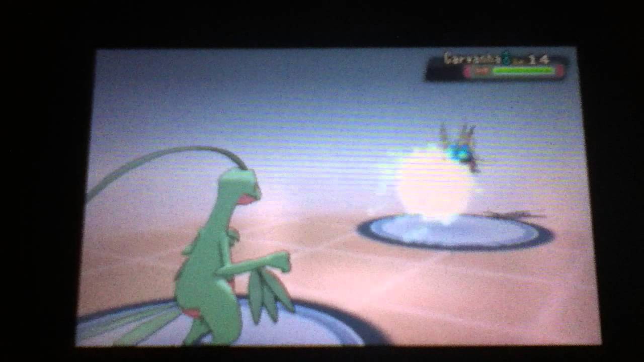 Pokemon Alpha Sapphire Slateport City Museum Team Aqua Battle - YouTube