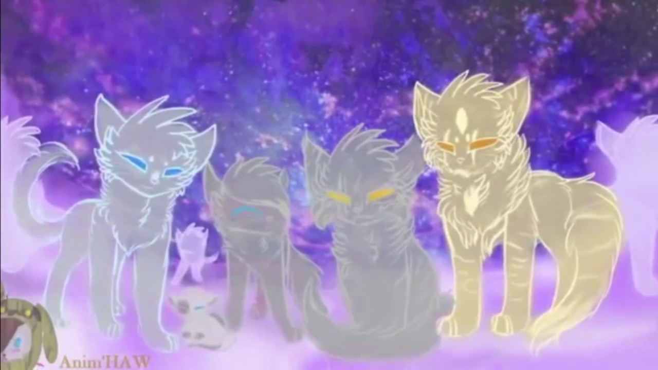 Коты воители Огнезвёзд и Песчаная буря - YouTube