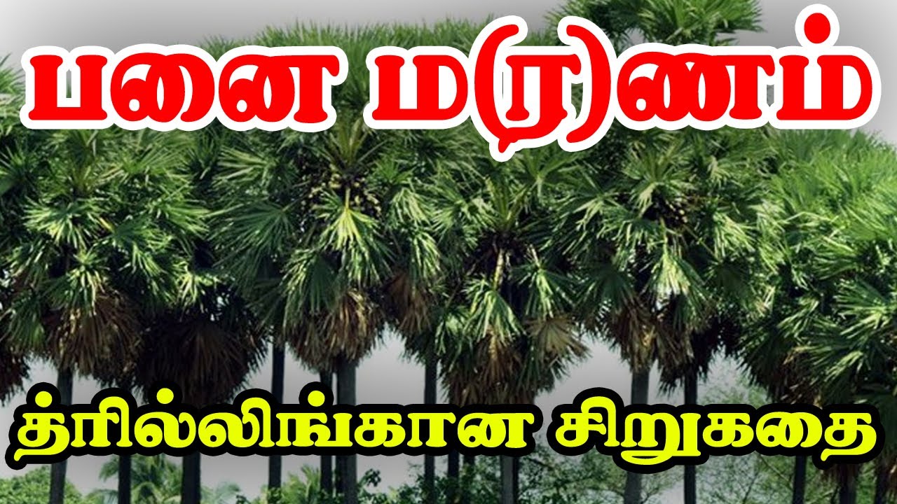 பனை மரம் சிறுகதை/ தமிழ் கதைகள்/Panai maram sirukathai /Short story in ...