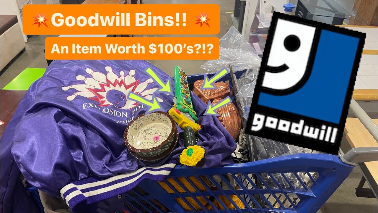 Let’s Go To Goodwill Bins! Finding Items Worth $100+! Thrift With Me ...