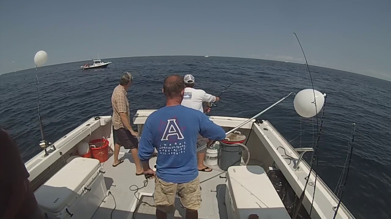 Crab Ledge Bluefin Tuna Aug 2017 - Sarah Green - YouTube