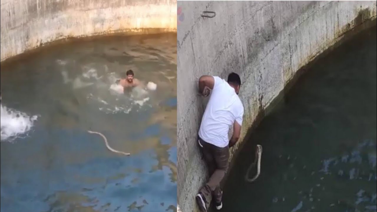 Man Dives Into Deepest Well To Rescue Snake - YouTube
