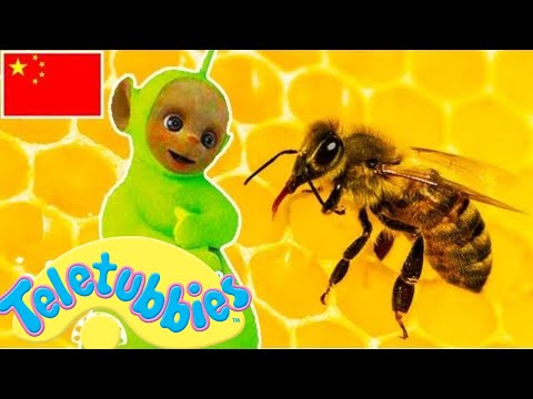 ☆天线宝宝 ☆ 调皮的蜜蜂☆