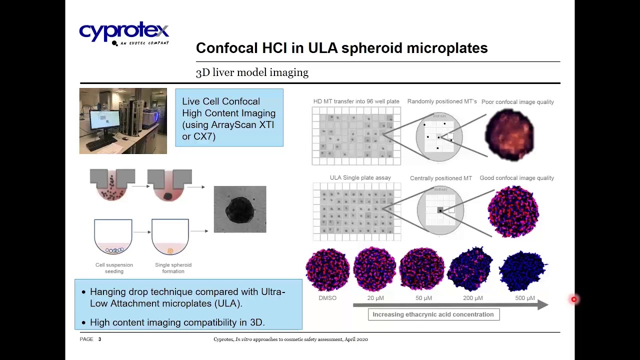 In vitro approaches to cosmetic safety assessment: Paul Walker ...