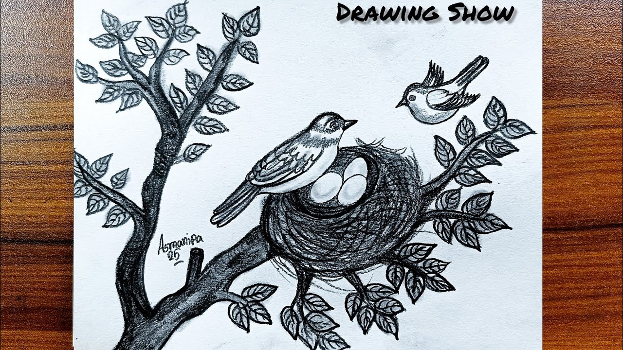 How to draw bird nest with bird easy step by step || Bird nest drawing ...