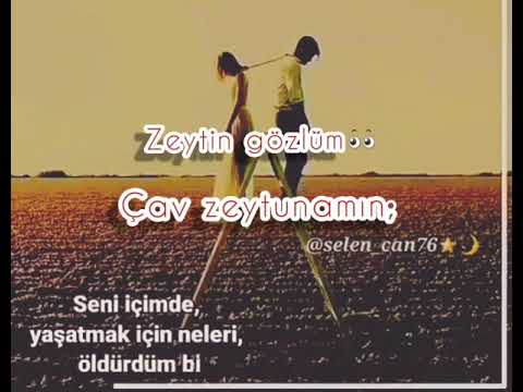 Seyda perincek cav zeytunamın 😘😘😘😘SEVDAM😘😘😘❤❤