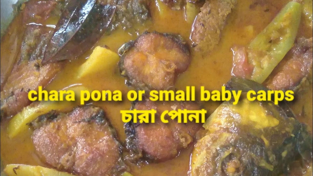 Alu potol diye chara pona mach | small baby carps fish| চারা পোনা মাছ ...