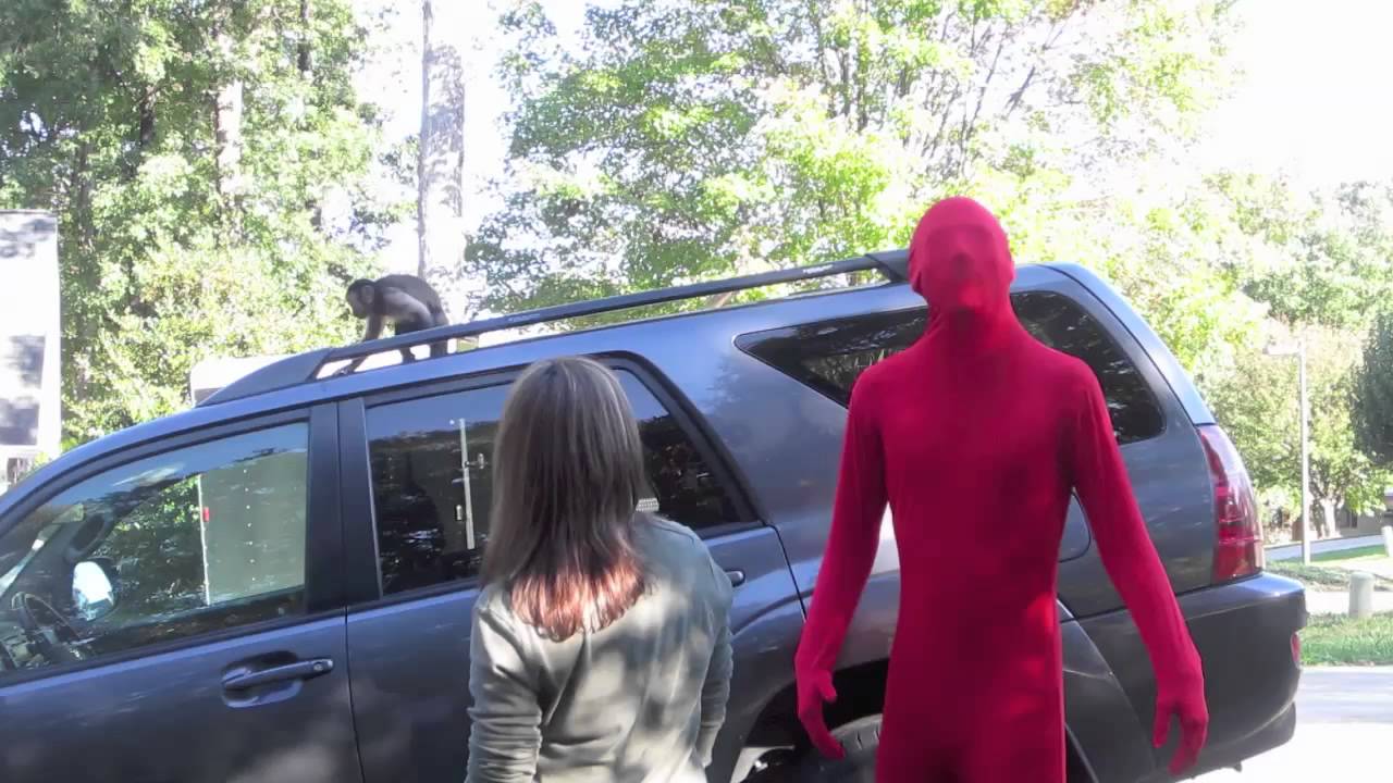 BOO GETS SCARED - YouTube