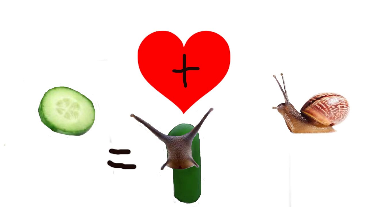 Mr.Snailman Song - YouTube