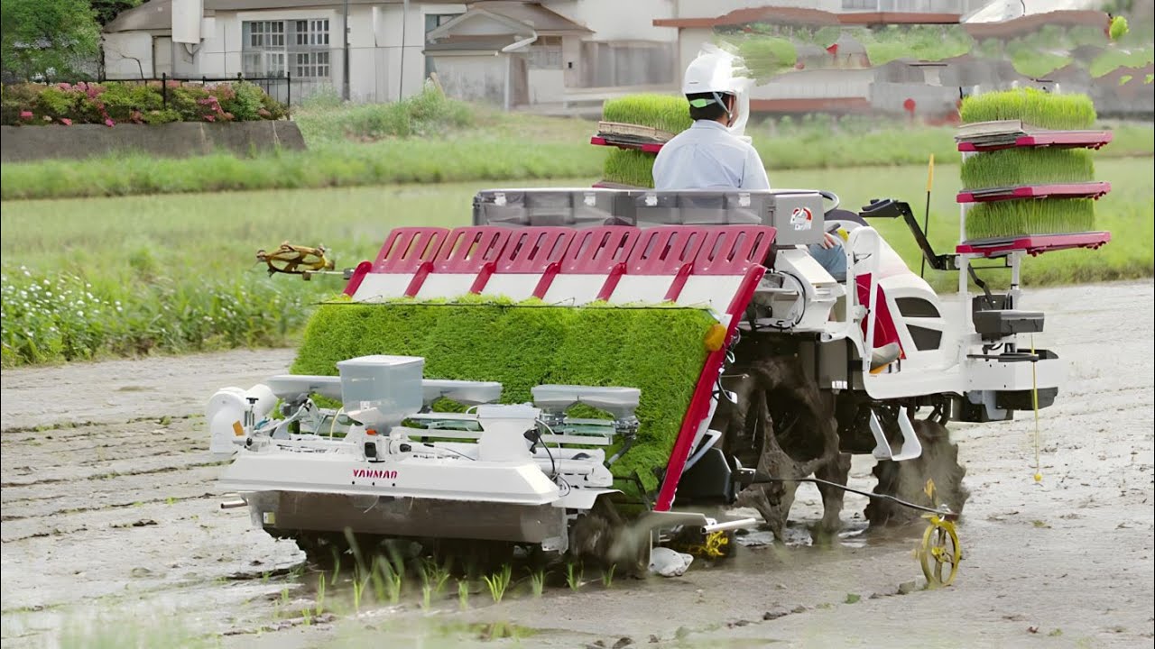 Automatic Rice Planting to Harvesting Technology 🌾 - Modern Agriculture ...