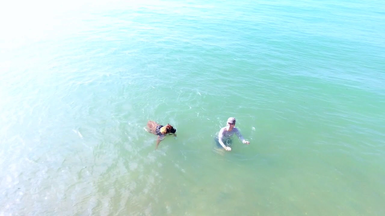 Saltdean Beach Brighton UK July 22nd 2018 - YouTube